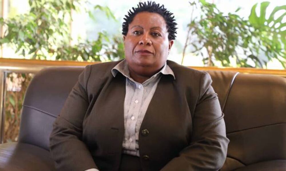 ZACC officials recover US$29m assets offshore - NewsHawks