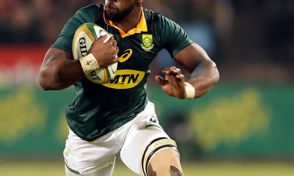 Springbok record-holder tips Zim prodigy to soar after Currie Cup debut ...