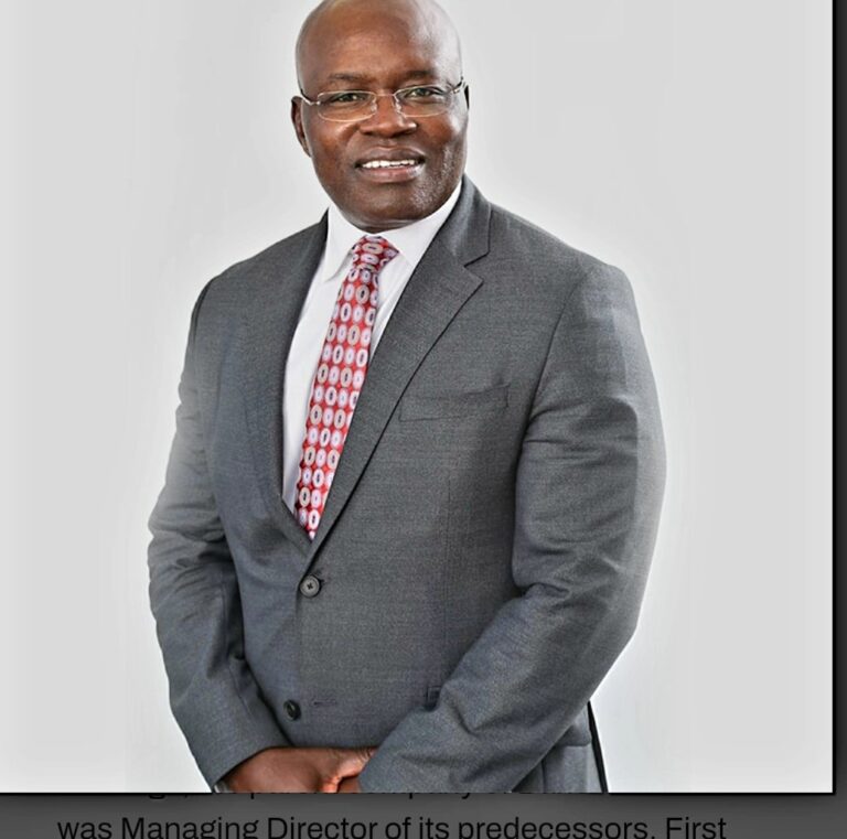 A Tale Of Two Executives Close To Mnangagwa - NewsHawks