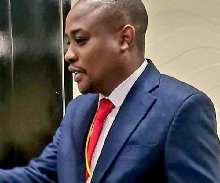 ZANU PF’s Succession Politics, Is Not a Contest of Ideas but a Struggle ...